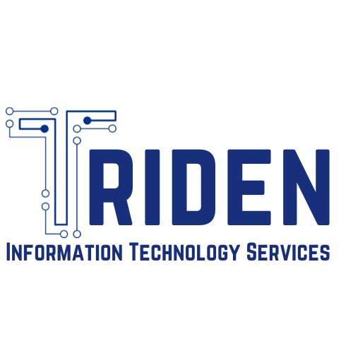 Triden, Information Technology Services